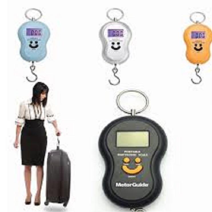 Portable Hand Scale Electronic Balance Hand Scales Mini Pocket Digital ...
