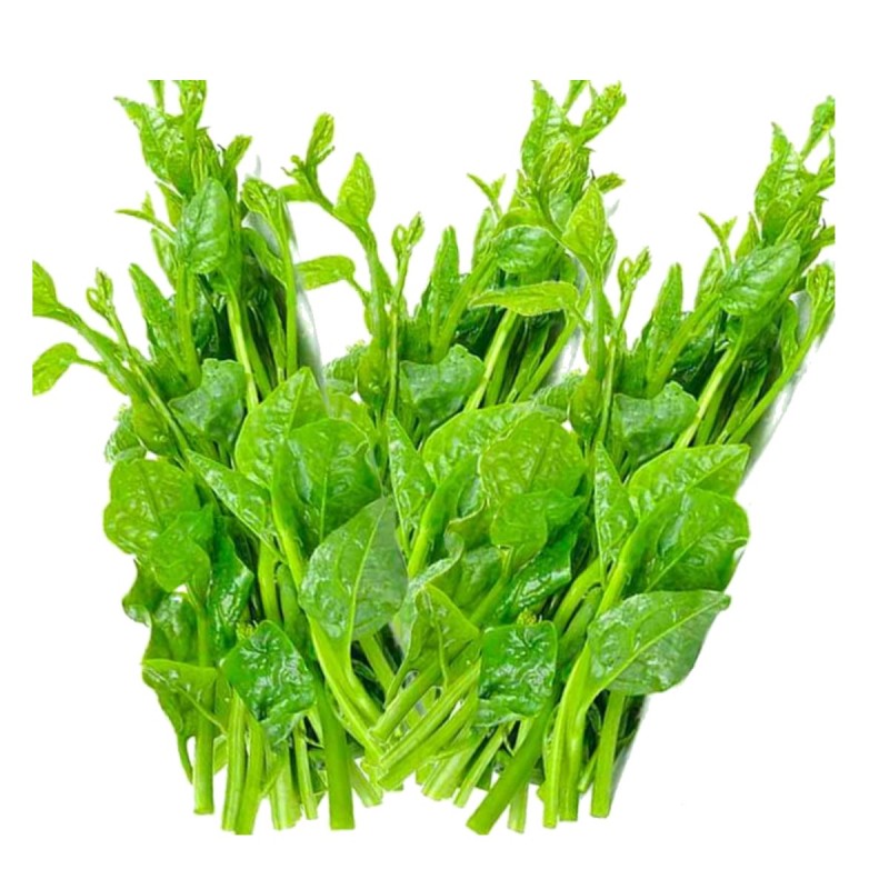 Pui Shak (Pui Spinach) - Cut Price BD