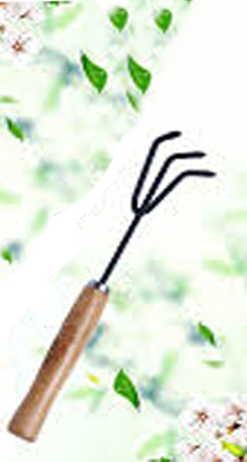 Garden Rake 3 Tooth - Cut Price BD