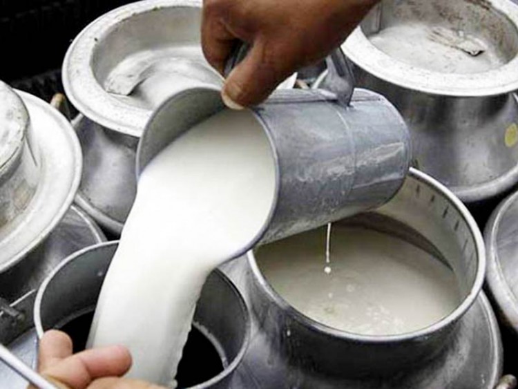 Gorur Torol Dudh - Cut Price BD